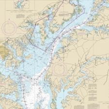 Upper Bay Fishing Reports | FishTalk Magazine